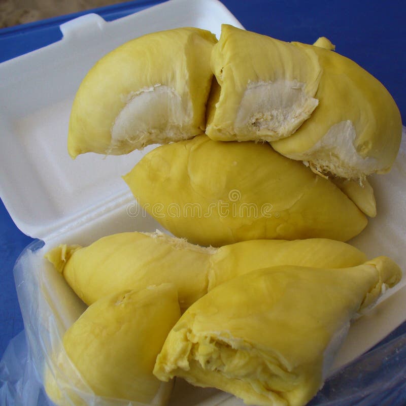 Durian Thai Fruit Cleaned in Thailand Stock Image - Image of fresh ...