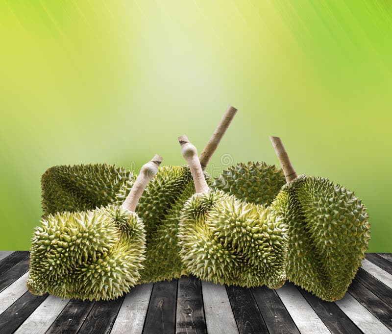Durian, Thai fruit stock photo. Image of durian, design - 94047182