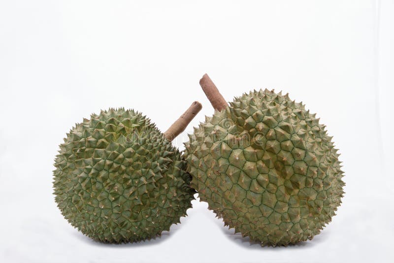Durian (Thai fruit ) stock photo. Image of tasty, fresh - 40336666