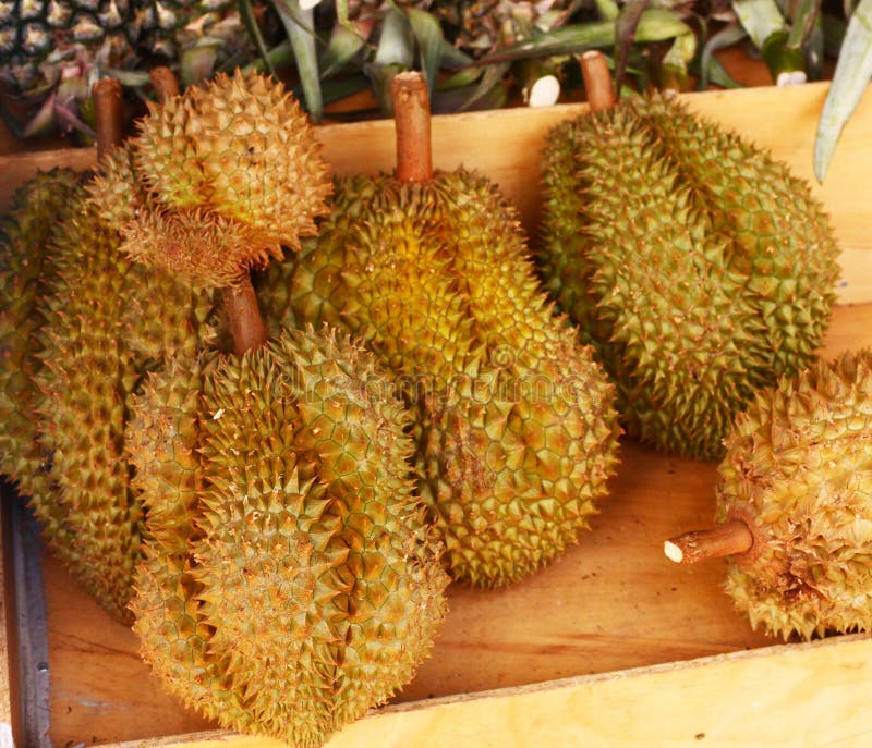 Durian Tropical Fruit with Good Taste Bad Smell Stock Image - Image of ...
