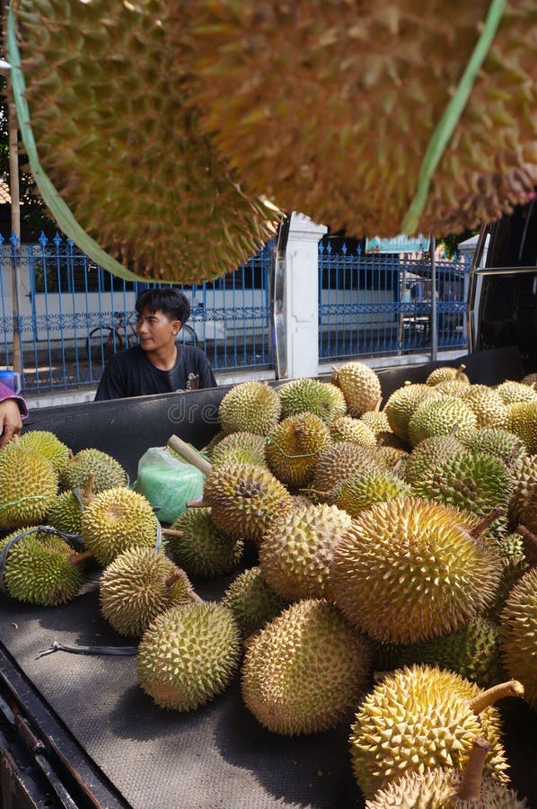 Durian editorial stock photo. Image of solo, roadside - 35620763