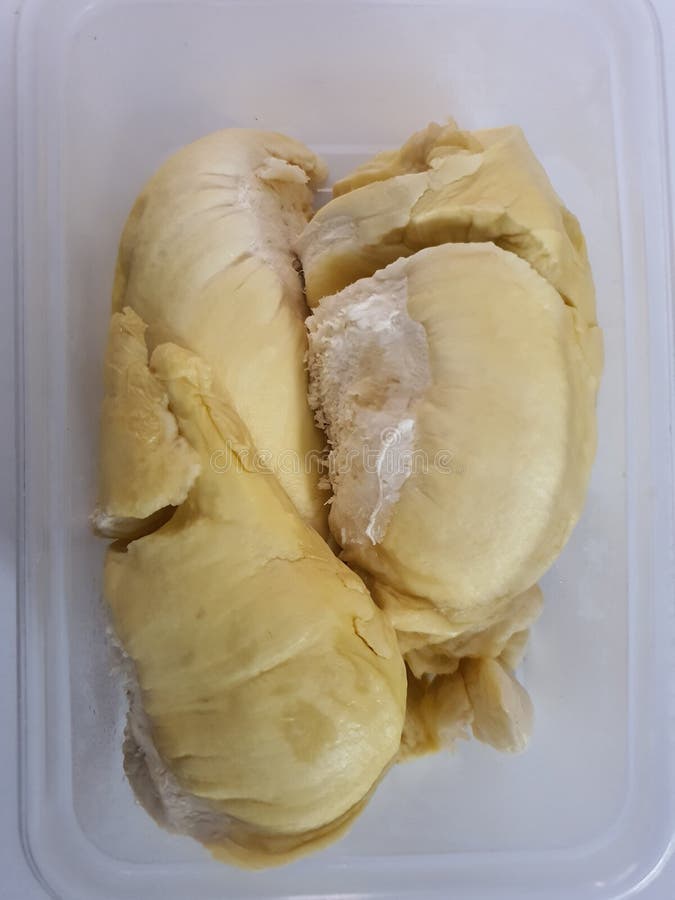 Durian in white box stock image. Image of purple, texture - 172626953