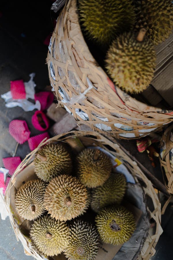 Durian in Wicker Basket at the Market Stock Image - Image of thailand ...