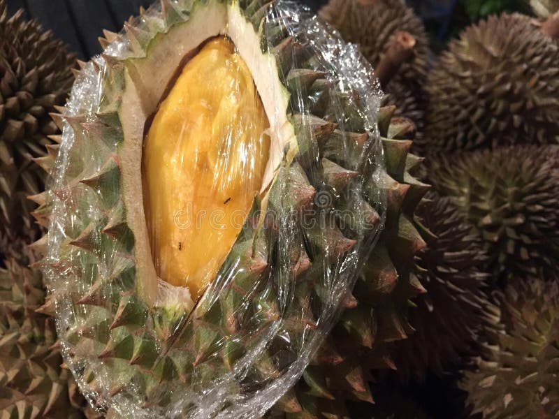 Durians stock foto. Image of aziatisch, zoet, bekend - 113376954
