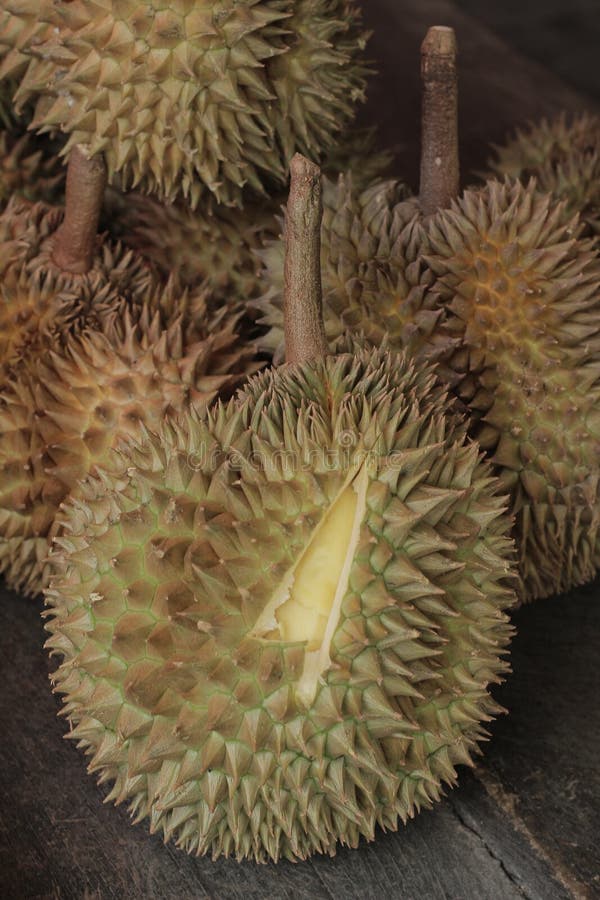 Durians in market stock photo. Image of sale, flesh, durian - 99275906