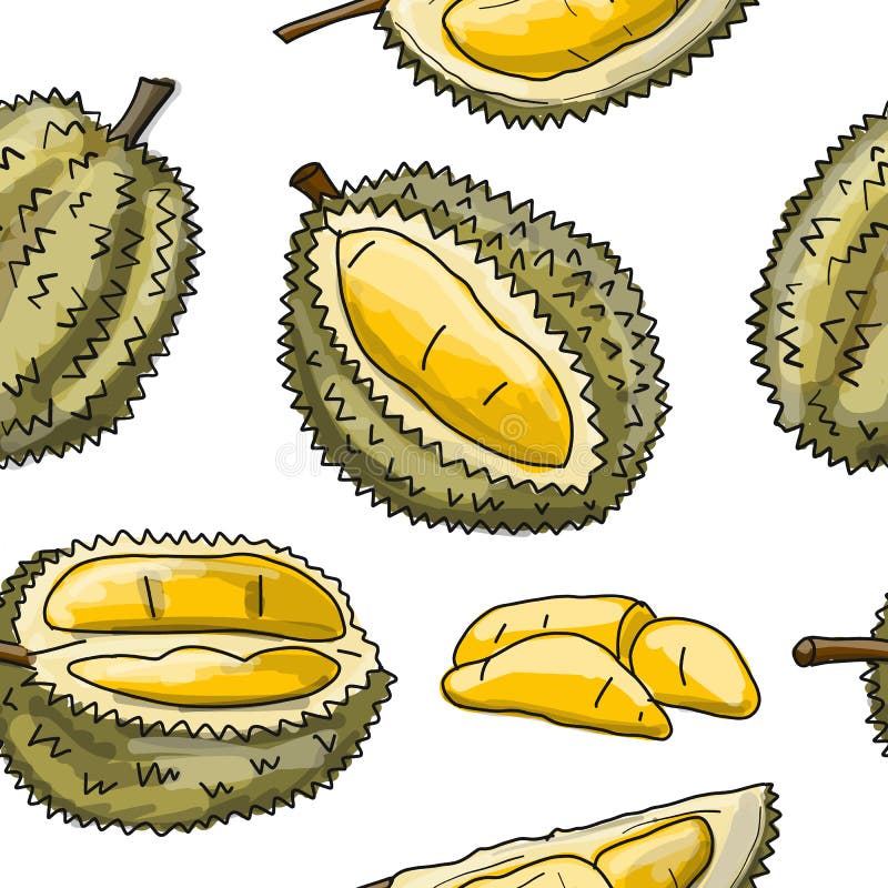 Durians Vector Stock Illustrations – 124 Durians Vector Stock ...
