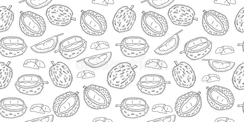 Durians Vector Stock Illustrations – 124 Durians Vector Stock ...