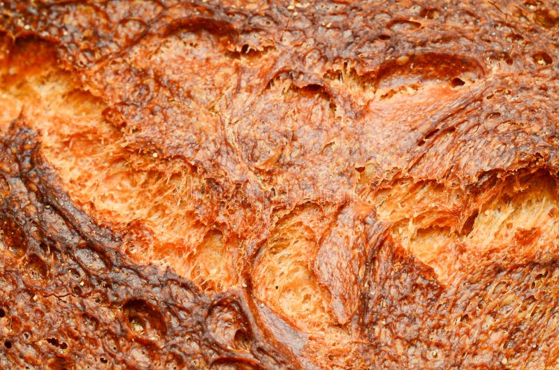 Durum wheat bread stock image. Image of crust, wheat - 31924697