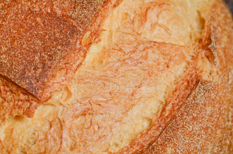 Durum wheat bread stock photo. Image of durum, flour - 31924970