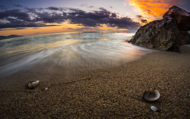 Shells stock image. Image of colorful, shells, shutter - 102995753