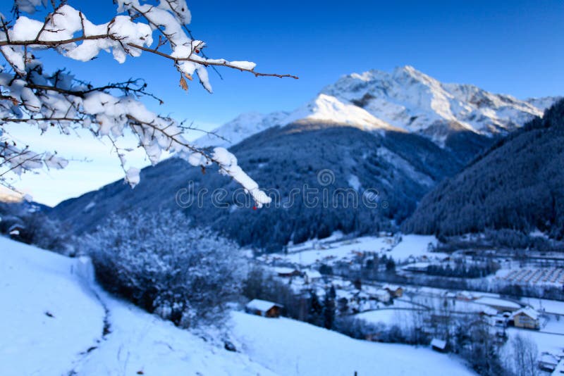 Mountain Village with a Huge Tree in the Foreground in a Snowy Winter ...