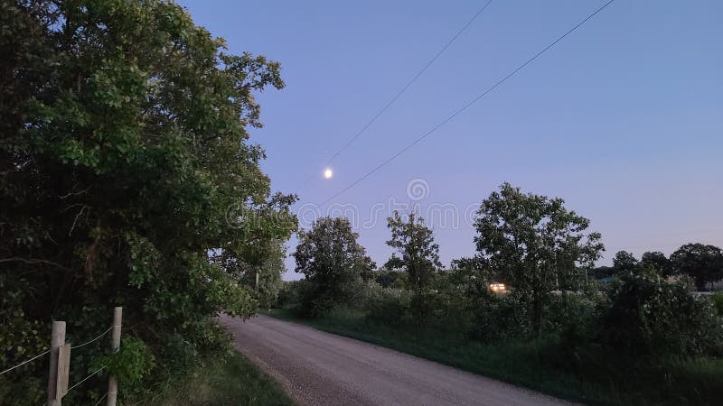 Dusk country sky stock image. Image of plant, sunlight - 195128109