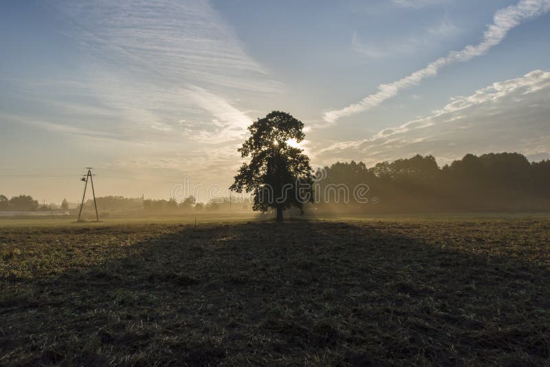 Dusk on farm stock photo. Image of farm, plain, village - 57043824