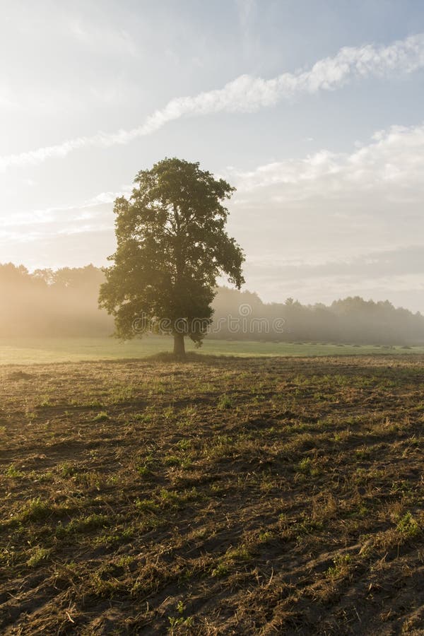 Dusk on farm stock image. Image of plain, field, lying - 57043825