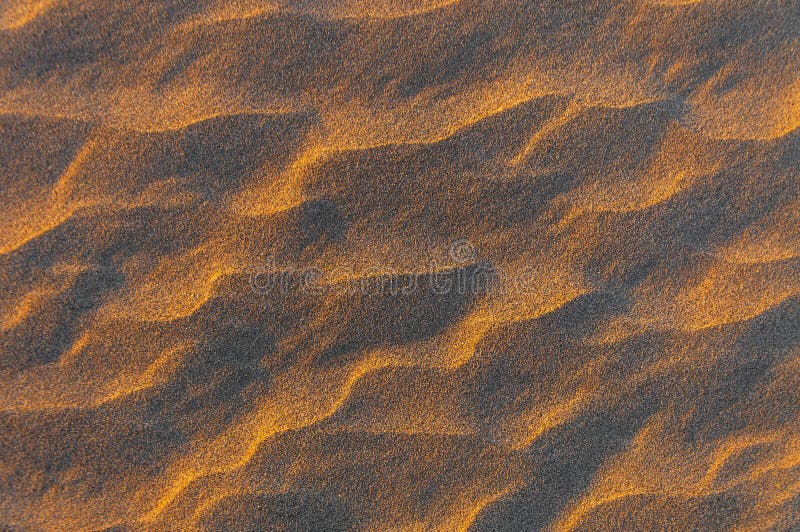 Golden Sand Ripples on the Beach Stock Photo - Image of coast, desert ...