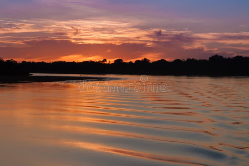 Dusk in the river stock photo. Image of landscape, amazonas - 46683372