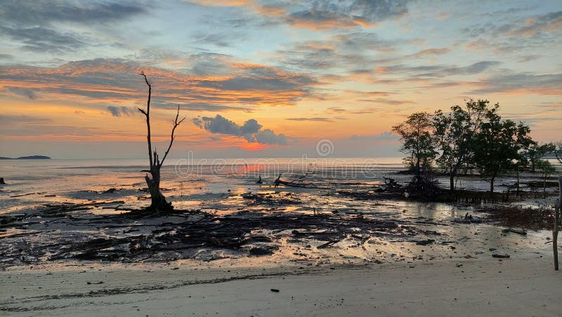 Dusk when the Sea Water is Receding. Stock Image - Image of sand, dawn ...