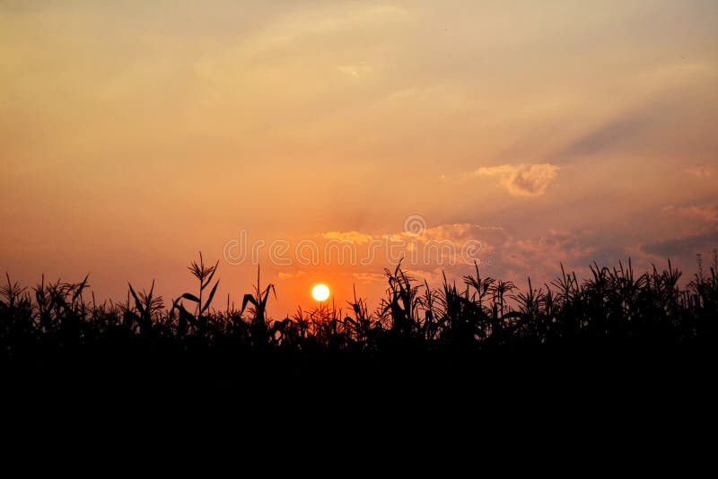 Dusk Sky the Background Sky Stock Photo - Image of beam, outdoor: 40314762
