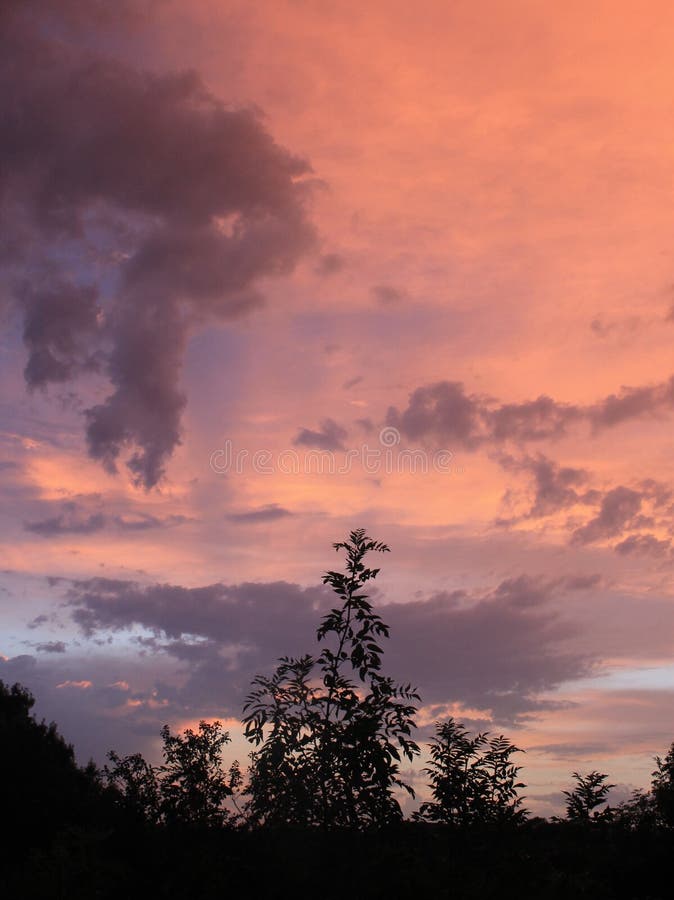 Dusk after summer rain stock image. Image of fresh, layered - 75023641