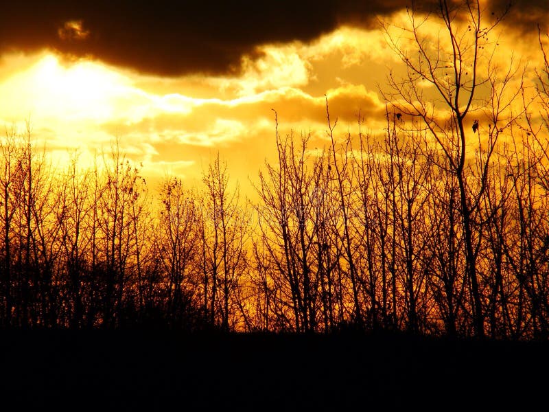 Dusk sunset gold editorial photography. Image of dusk - 53730167