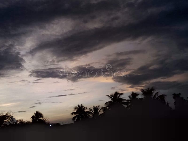 Dusky Clouds Plam Tree Multicolored Stock Photo - Image of plam ...