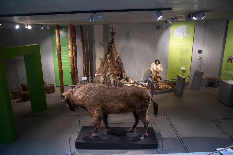 Dusseldorf, Germany, February 16, 2024, Neanderthal Museum in ...
