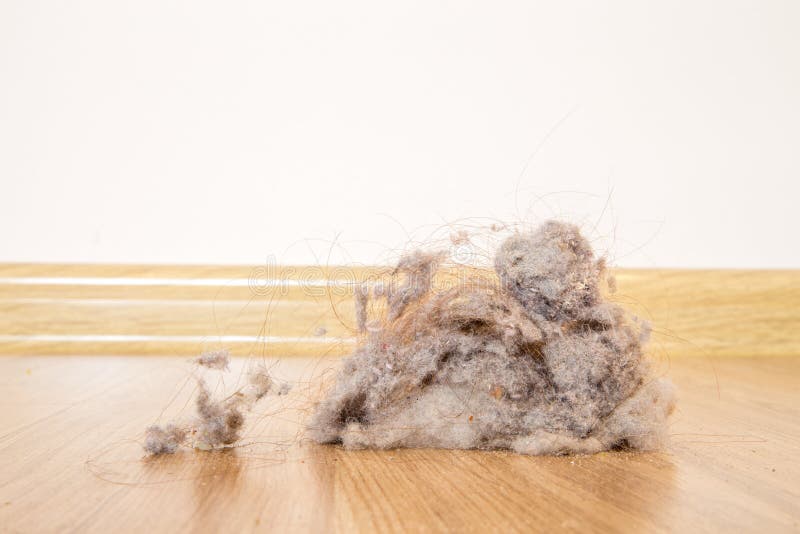Dirty dust stock photo. Image of erase, domestic, home - 14862908