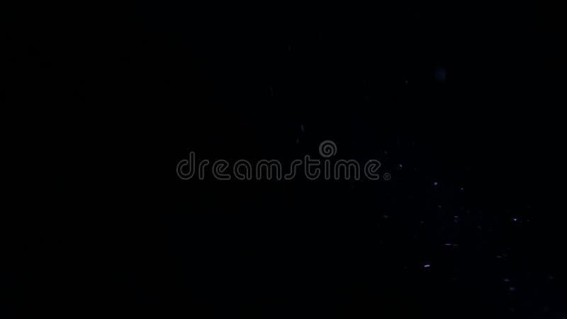 Dust Motes Sparkle in the Defocused Light Adding an Extra Layer of ...