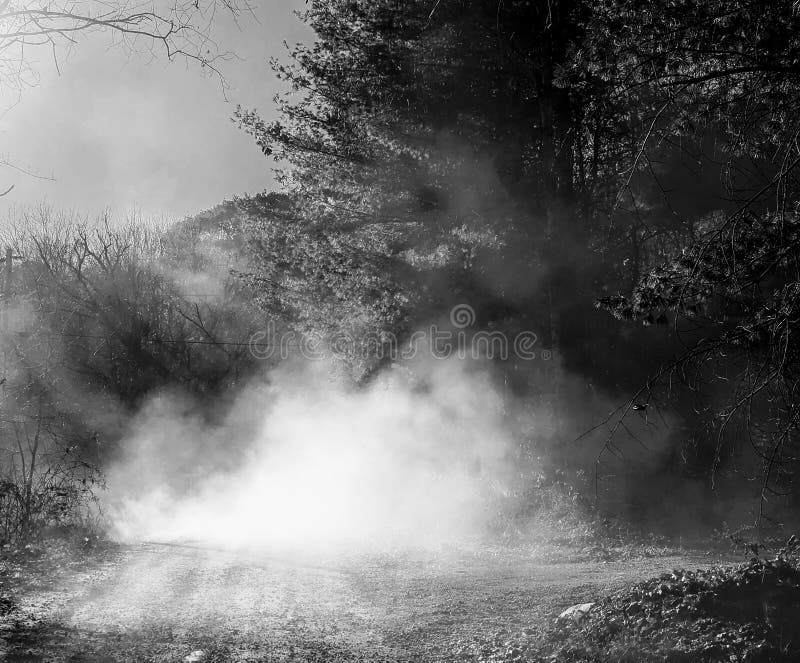 Dust blowing on dirt road stock image. Image of seasonal - 296424897