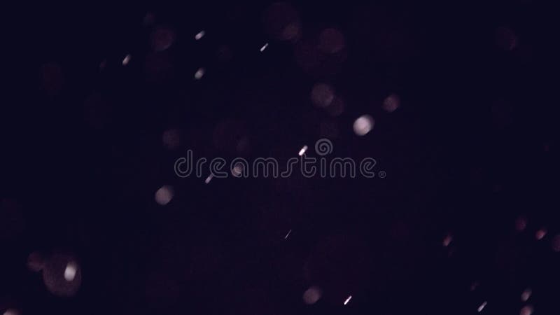 Dust, Circles, Bokeh Effect Randomly Moving in Different Directions on ...