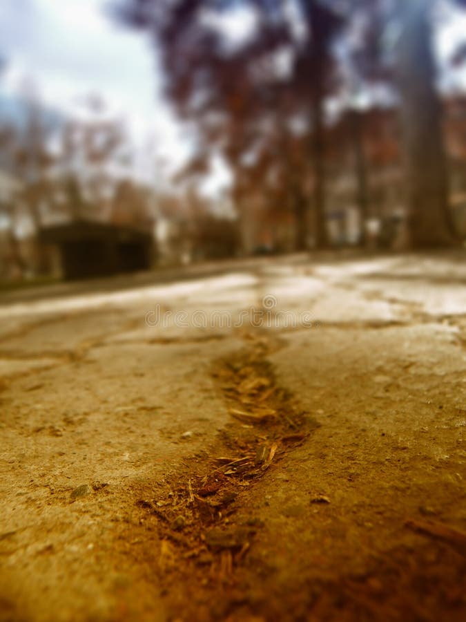 Dust Close-up stock photo. Image of sand, macro, garden - 8334928