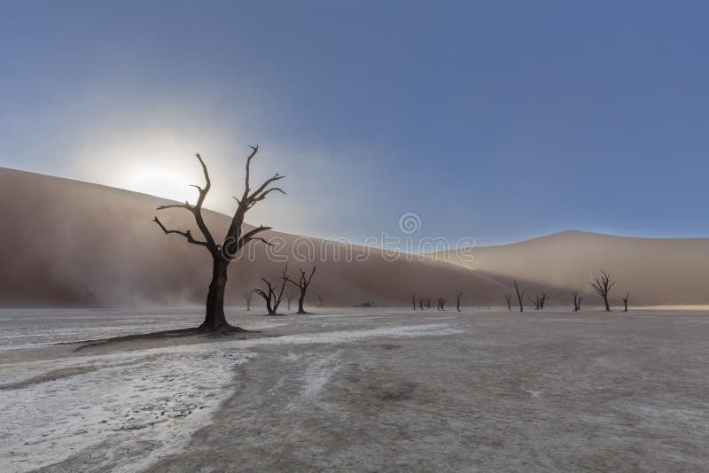 Dust and Dry Mud in Dooievlei Stock Image - Image of dooievlei, africa ...