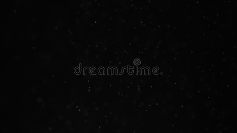 Dust Falling on Black Background Stock Video - Video of bakery, nature ...