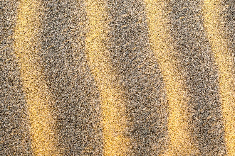 Dust light on the sand stock photo. Image of dune, dusk - 163535870