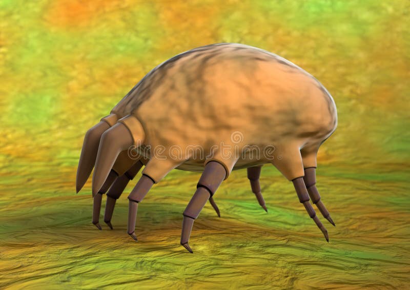 Dust Mites are Extremely Small Organisms, Visible only Under a ...