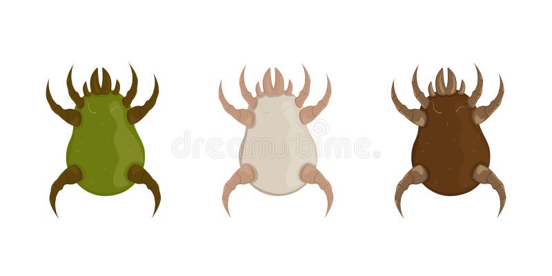 Dust Mites Set Vector Illustration. Microscopic Dangerous Insects Cause ...