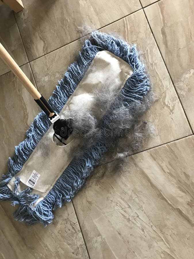 Dust mop 6053 stock image. Image of interior, collects - 169821765