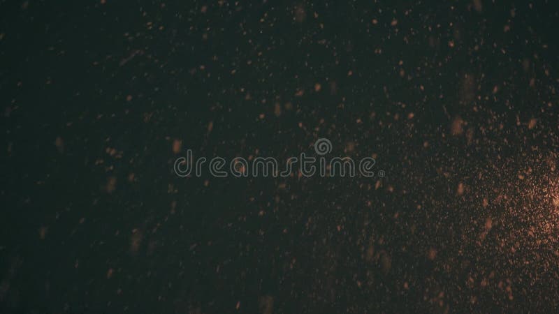 Dust Particles Background. Grain Texture. Defocused White Powder Flying ...