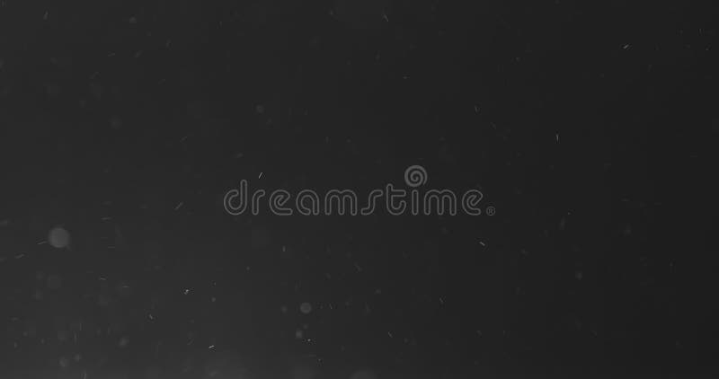 Dust Particles Fast Moving Over Black Background from Left Stock Photo ...