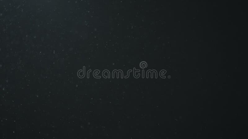 Dust Particles Float in Cool Light on Black Background Stock Image ...