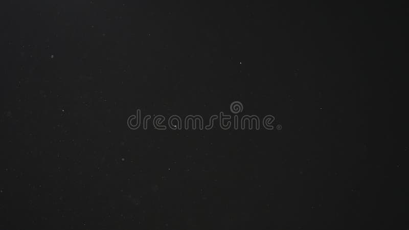 Dust Particles Float in Neutral Light on Black Background Stock Image ...