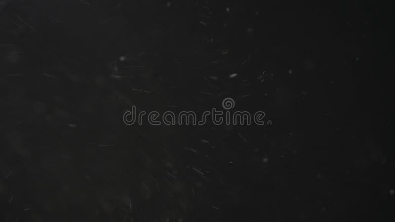 Dust Particles Float in Neutral Light on Black Background Stock Photo ...