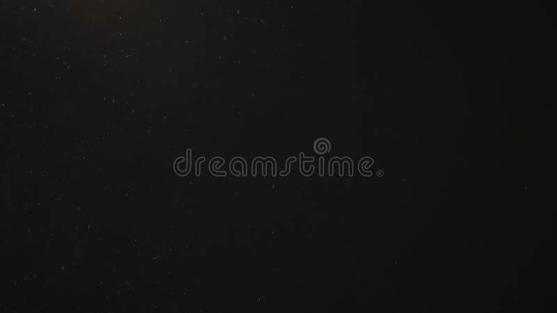 Dust Particles Float in Neutral Light on Black Background Stock Image ...