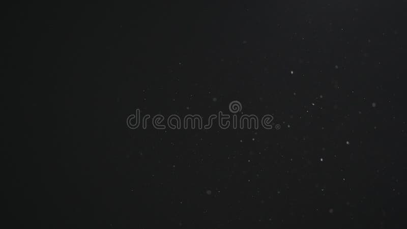 Dust Particles Float in Neutral Light on Black Background Stock Image ...