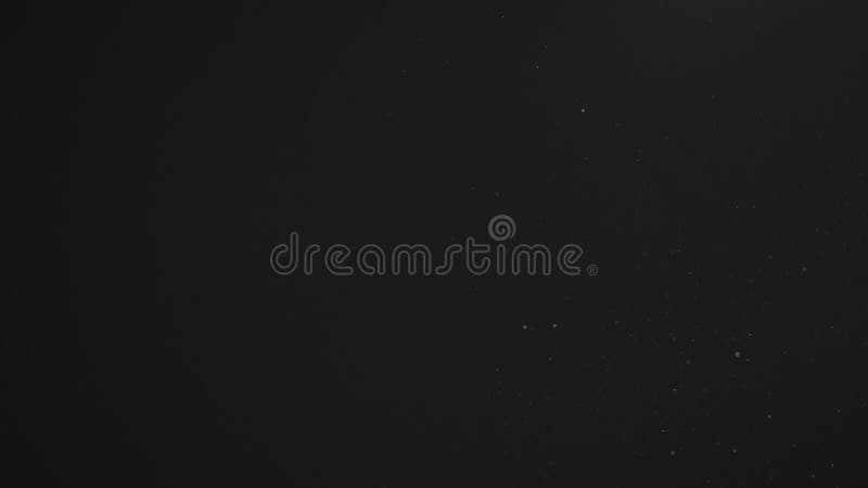Dust Particles Float in Neutral Light on Black Background Stock Image ...