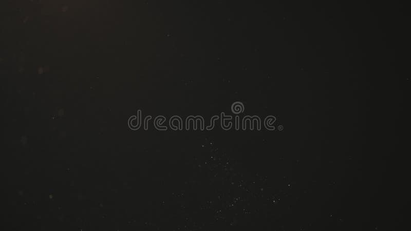 Dust Particles Float in Neutral Light on Black Background Stock Image ...