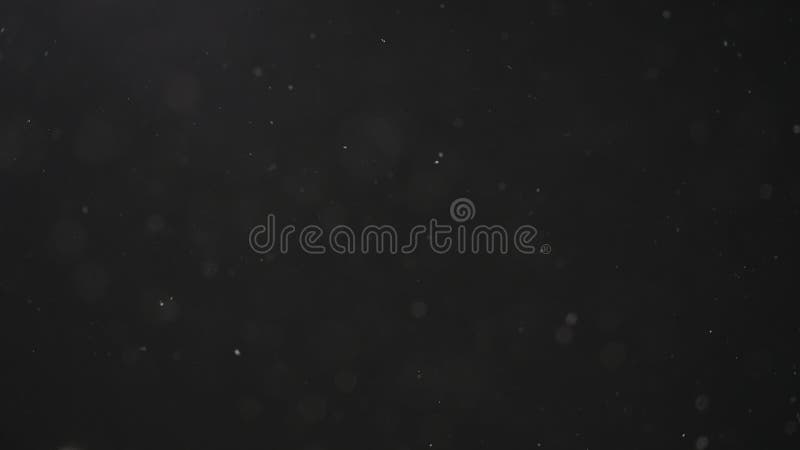 Dust Particles Float in Neutral Light on Black Background Stock Image ...