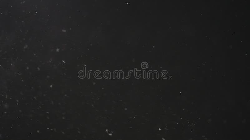 Dust Particles Float in Neutral Light on Black Background Stock Image ...