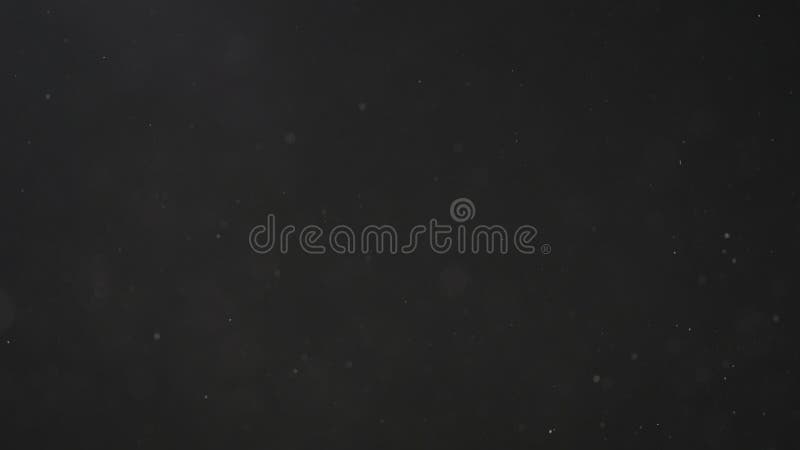 Dust Particles Float in Neutral Light on Black Background Stock Image ...