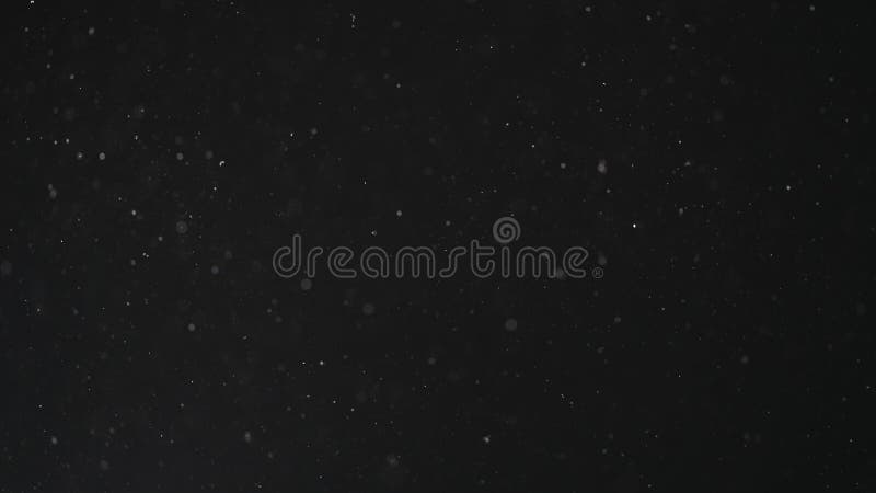Dust Particles Float in Neutral Light on Black Background Stock Image ...